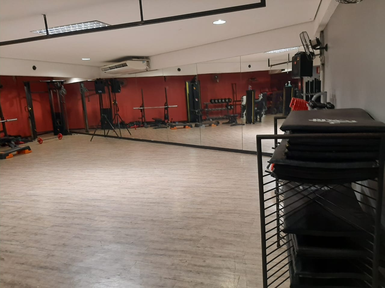 A Fox Fit – FOX FIT